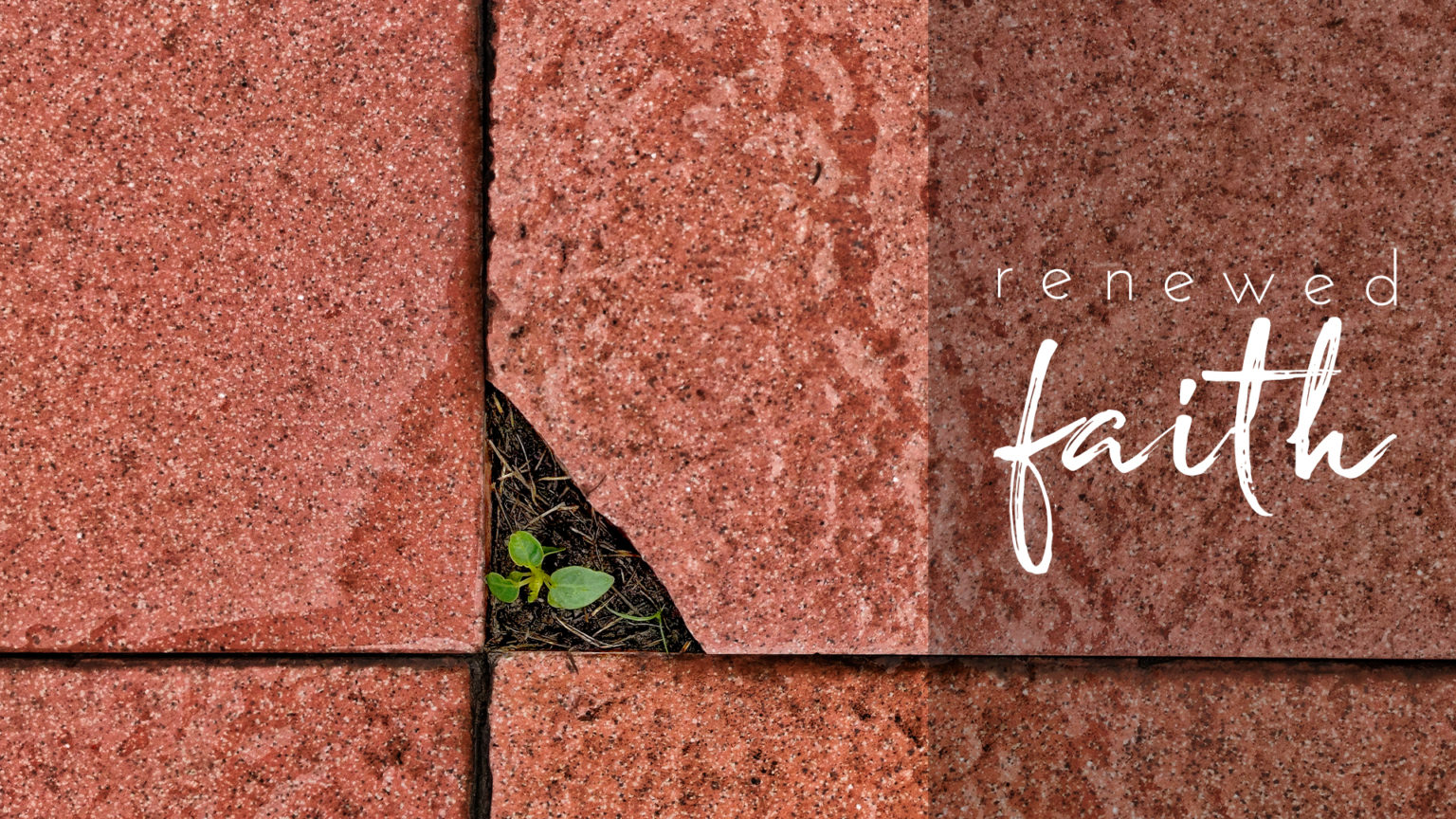 Renewed Faith – Nairobi Lighthouse Church